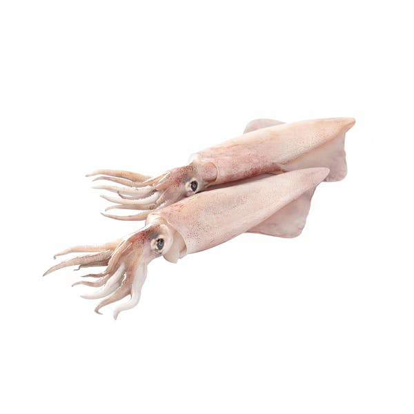 Calamar mediano sin limpiar descongelado | Mercadona compra online